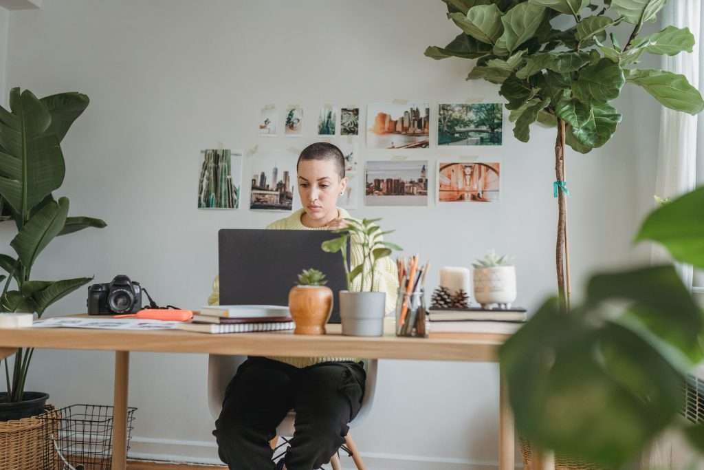 Photo Editing Tips: 5 Great Tips for Stunning Photos