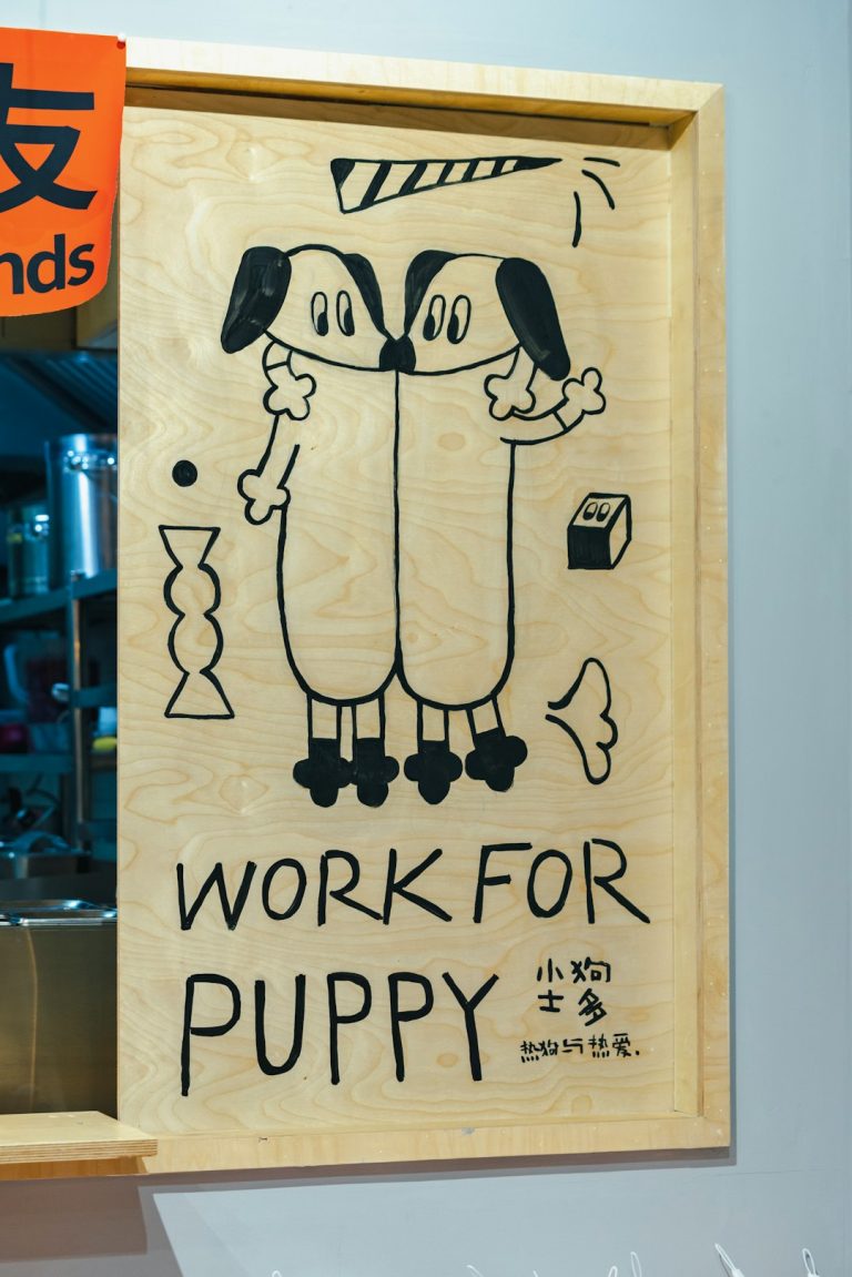 9 Logo Concepts for Veterinarians and Pet Care